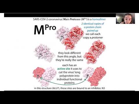The basics & biochemistry of Paxlovid (Pfizer's covid pill, which is an MPro inhibitor)