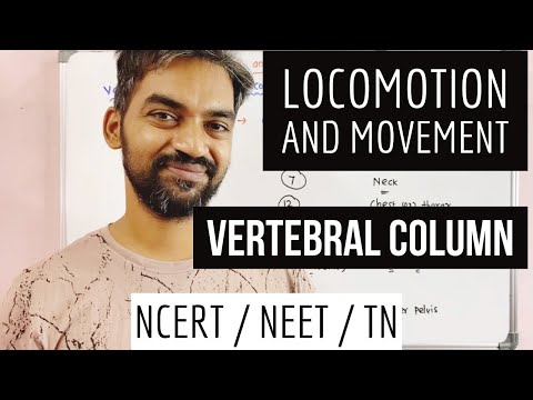 Vertebral column | Spinal column | Back bone | Locomotion and movement