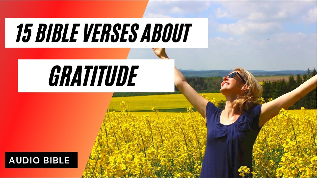 🙏🏼  Bible verses about Gratitude.( Bible project)