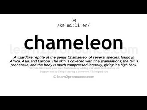 Pronunciation of Chameleon | Definition of Chameleon