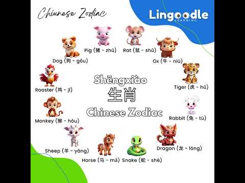 12 Animals of the Chinese Zodiac | 生肖 | Shēngxiào - What Chinese Zodiac animal are you?