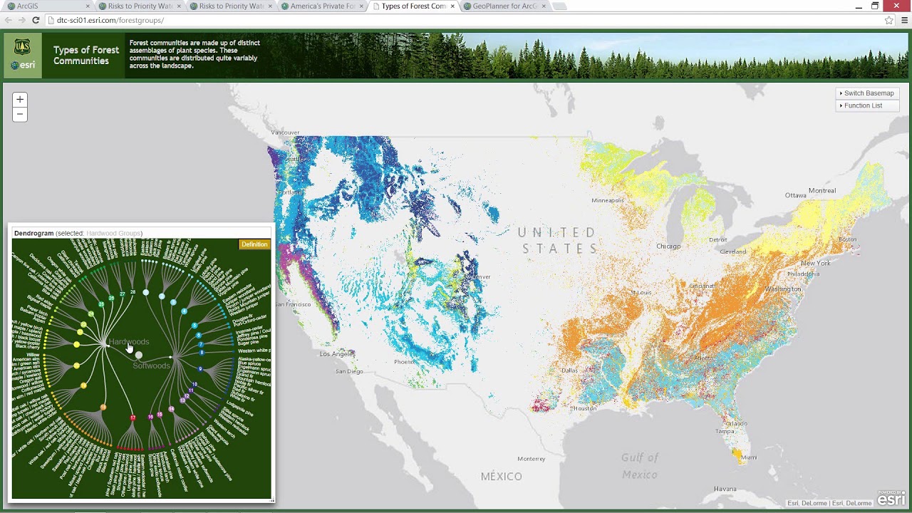 WebGIS Platform for Forestry