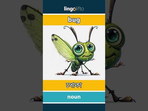 🇬🇧🇧🇩 bug - পোকা : learn English : আসুন ইংরেজি শিখি : vocabulary builder