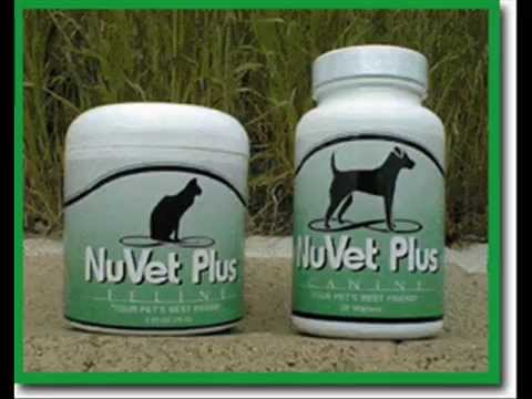 Dog Products At NuVet Labs | NuVet Lab Reviews | NuJoint & Nuvet Plus