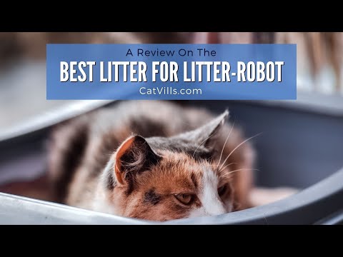 THE BEST CAT LITTER FOR LITTER ROBOT
