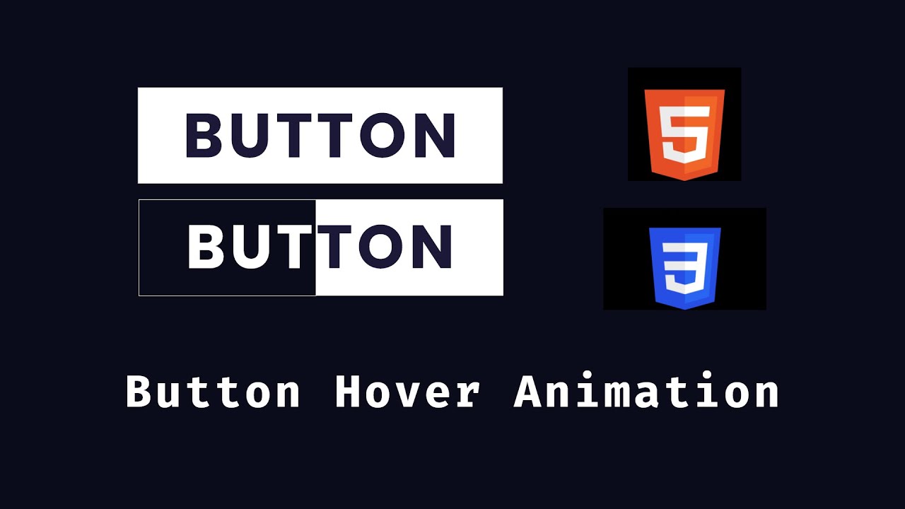 Button Hover Animation | HTML & CSS | For Beginners | Silent Code