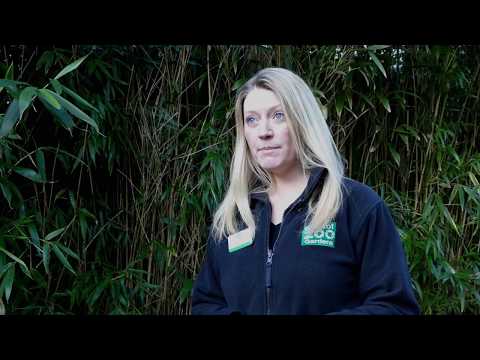 Zoo Cast UK 4 Celebrations and conservation