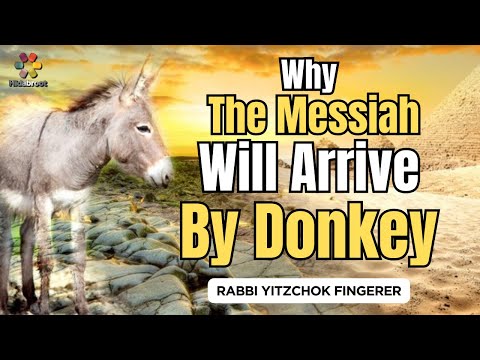 Why a Donkey - Rabbi Yitzchok Fingerer