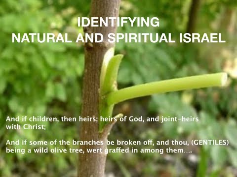 THE MEANING OF NATURAL & SPIRITUAL ISRAELITES, HEIRS & JOINT-HEIRS, ADOPTED ETC...