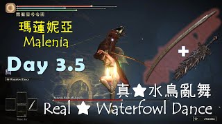 Sexy Malenia at Elden Ring Nexus - Mods and Community