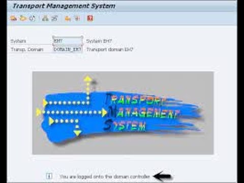 What is TMS in SAP?