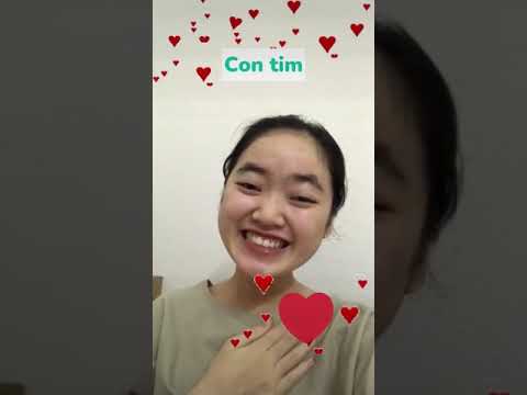 Classifier “Con” in Vietnamese is not just for animals