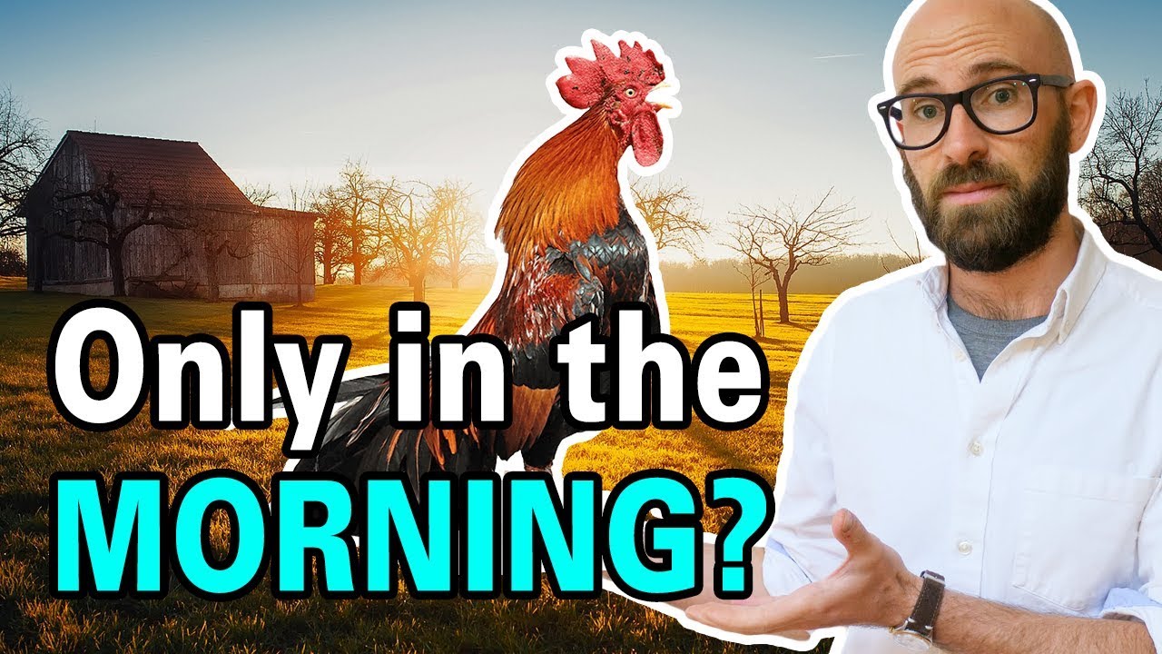 Why Do Roosters Crow in the Morning?