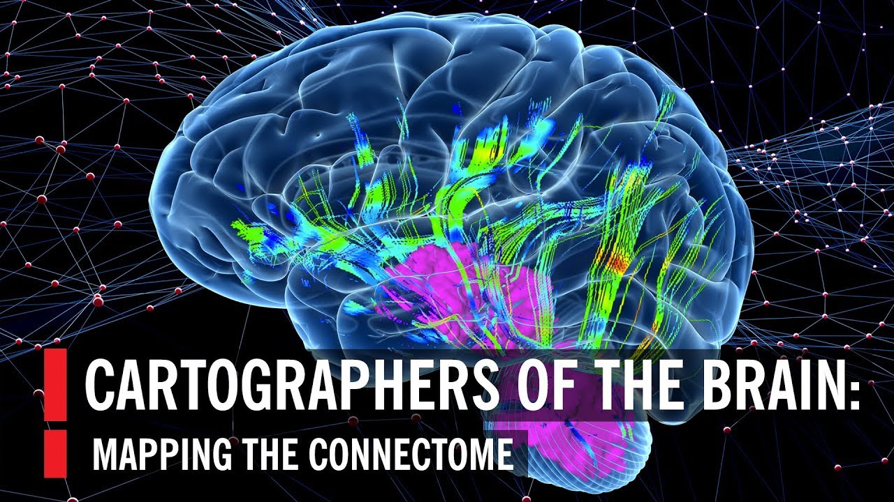 Cartographers of the Brain: Mapping the Connectome | World Science Festival