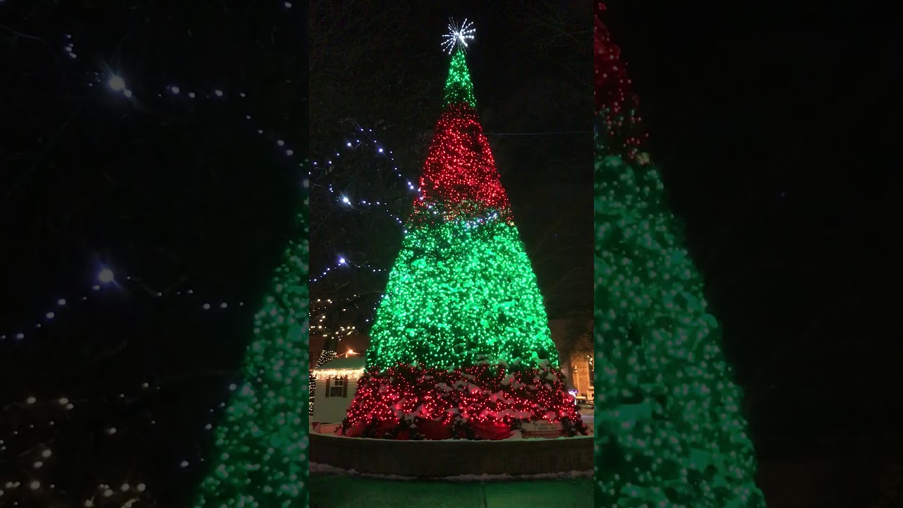 Johnstown Central Park Christmas Tree | Wizards in Winter