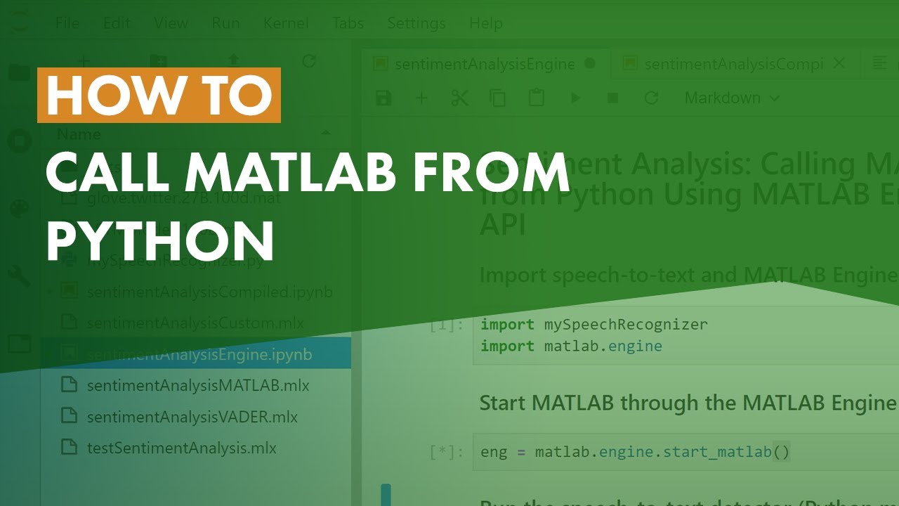 How to Call MATLAB from Python