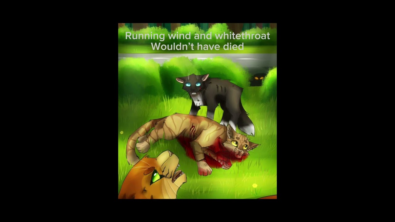What if tigerclaw was a good cat!? #warriorcats
