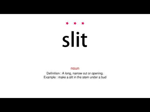 How to pronounce slit - Vocab Today