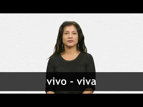 English Translation of “¡VIVA!” | Collins Spanish-English Dictionary