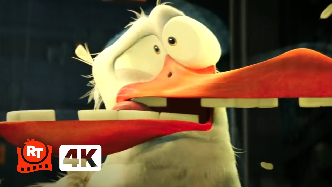 Storks (2014) 4K - HILARIOUS! Birds Can't See Glass (7/10) | Movieclips