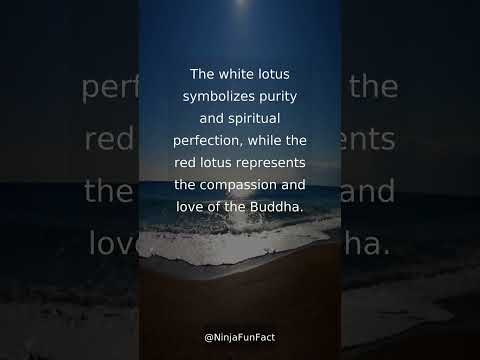 Meaning of the lotus flower's colors in buddhist art