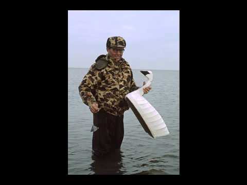 Manson Meekins: The Eel Grass Disappeared