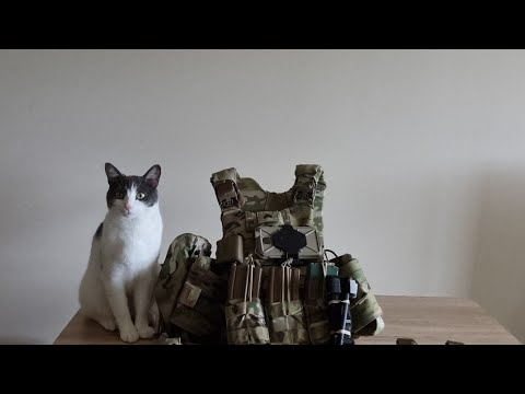 My plate carrier setup, the Army's new MSV