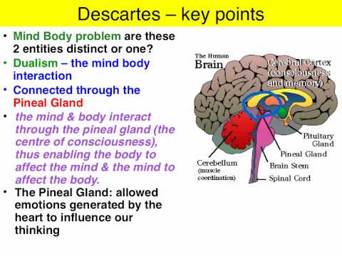what is consciousness? | pineal gland, neuroscience & philosophy ...