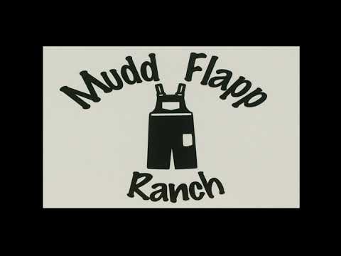 Mudd Flapp Ranch- PrintNC CNC quick Linux CNC set up for motor testing