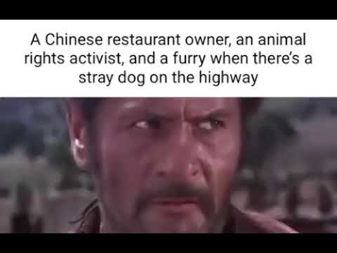 mexican standoff