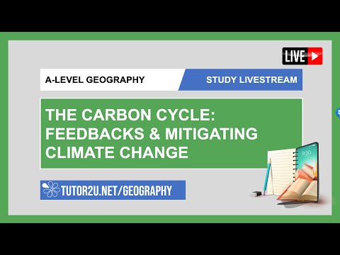 A-Level Geography | Study Livestream | The Carbon Cycle: Feedbacks & Mitigating Climate Change