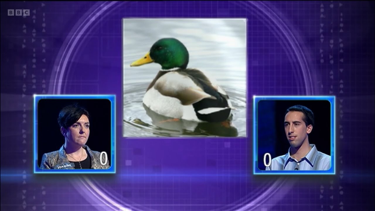 Brainbox Challenge - Episode 3 (BBC quiz) 