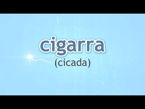 How to Pronounce Cicada (Cigarra) in Spanish