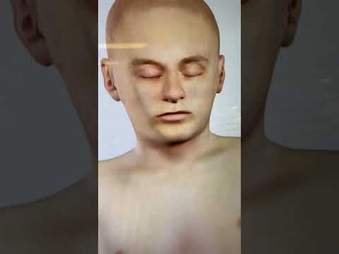 Anatomage Table: How to Use Lecture Tool?