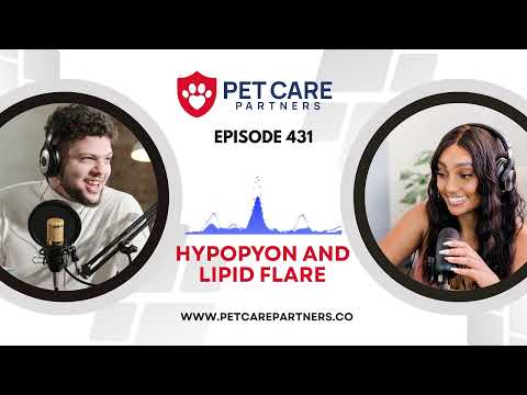 Hypopyon and Lipid Flare in Dogs: Symptoms, Causes & Treatment - VOSD