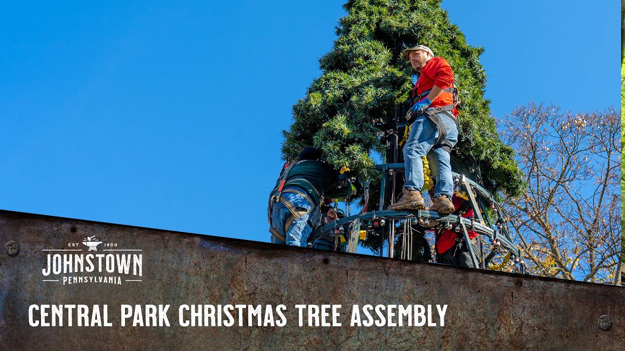 Central Park Tree Assembly - Visit Johnstown, PA