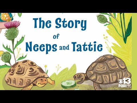 Maine author releases enchanting children's book about tortoises' adventures