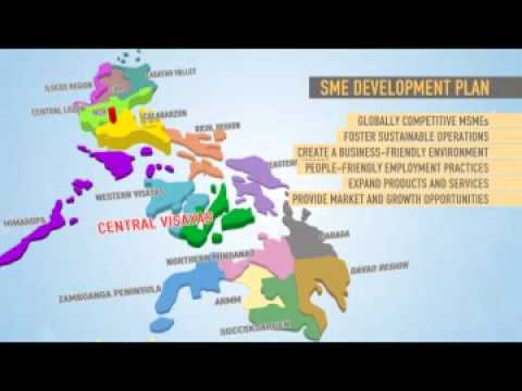 Micro Small and Medium Enterprises in Central Visayas, Philippines