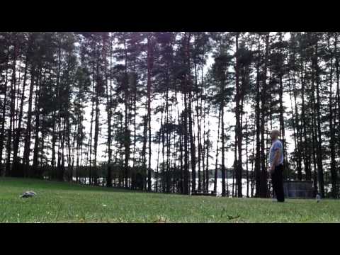 Gao style Baguazhang hotien line 2 forms 1-4