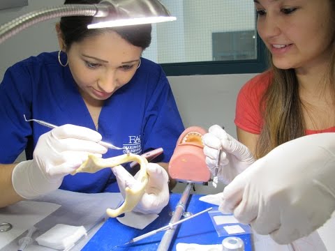 PDA - Introduction to Dentistry and Lab - certificate course