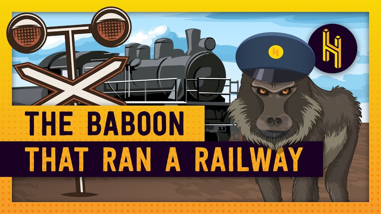 The Baboon That Controlled a Railway for 9 Years