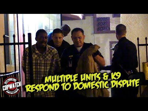 Copwatch | Multiple Units & K9 Respond for Domestic Dispute | United ...