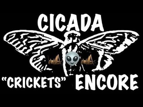 The Disco Biscuits → E: Crickets @ Red Rocks 5/29/2021