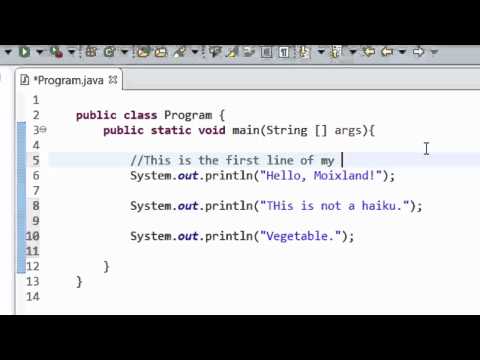 Java Whitespace & Comments