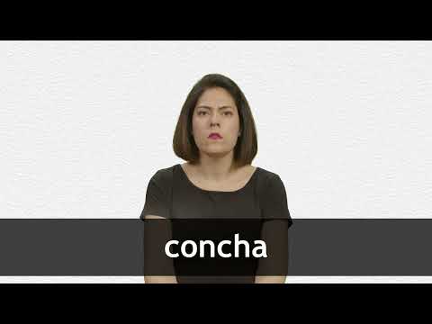 Traducción en inglés de “CONCHA” | Collins Diccionario español-inglés