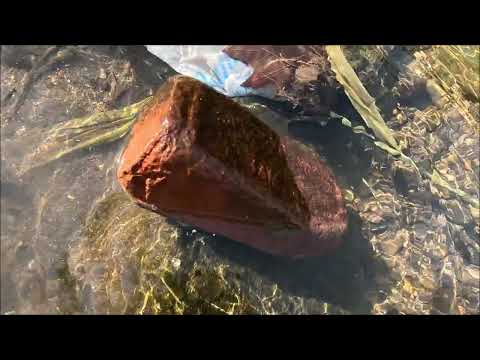 1000 Antique Bricks in City Creek: Rarest on Earth