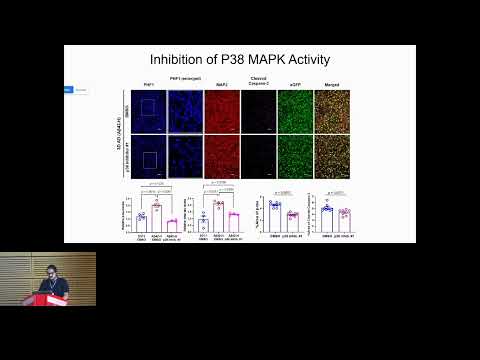 iQPA: A functional phenotyping platform that... - Pourya Naderi Yeganeh - TransMed - ISMB/ECCB 2023