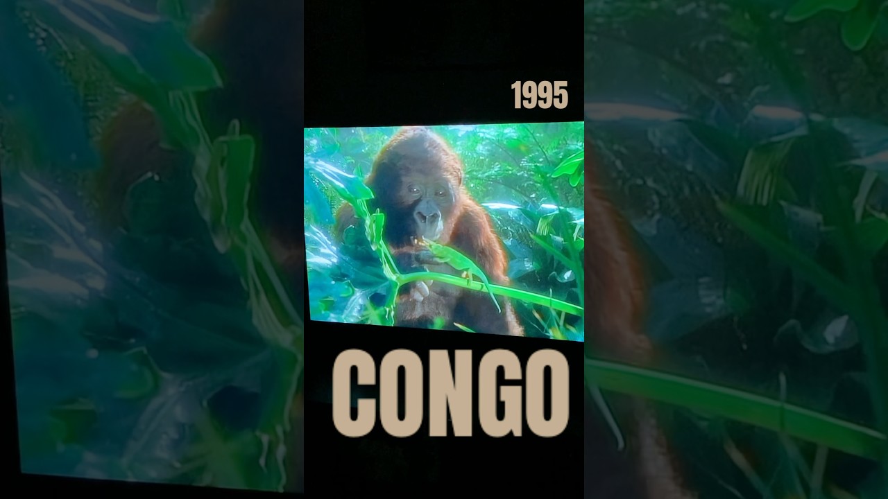 CONGO 1995