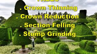 3 Best Tree Services in Oldham, UK - Expert Recommendations