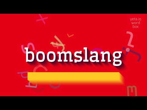 BOOMSLANG - HOW TO PRONOUNCE IT? #boomslang